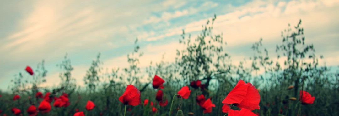 Town Roads – Town of Perry