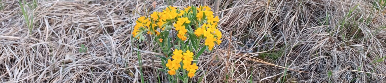 Town Board Meetings 2023 – Town of Perry