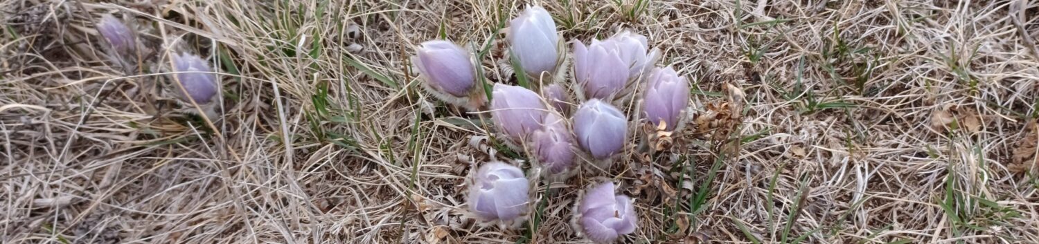 Town of Perry – Dane County, Wisconsin